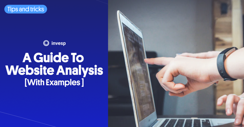 A Guide to Website Analysis (With Examples)