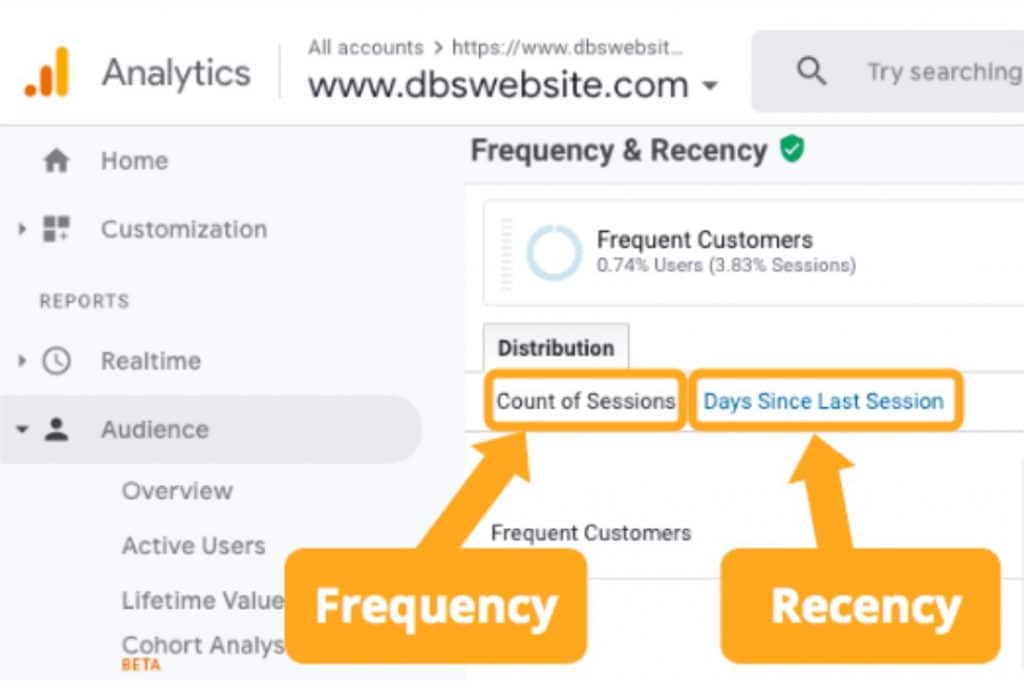 Google Analytics: Recency and Frequency and MCF Reports