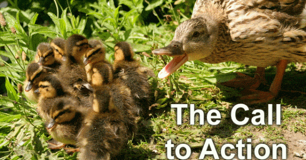 Writing Effective Call To Action - How to Write Web Copy that Sells Writing Effective Call To Action - How to Write Web Copy that Sells